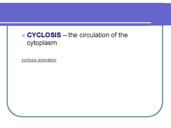 Cellular Transport Plasma Membrane l controls the movement