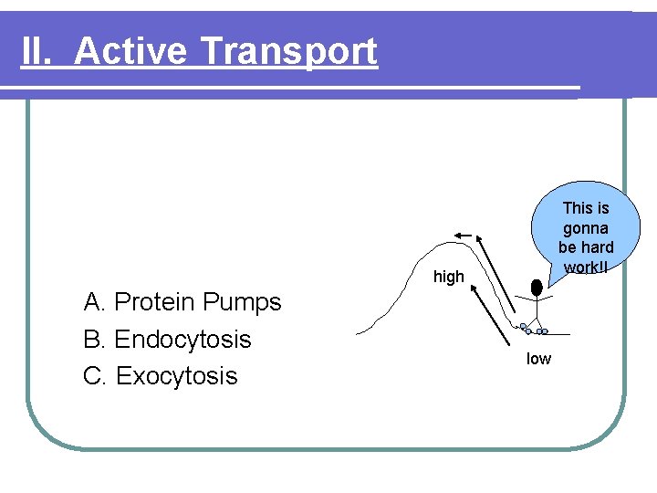 Cellular Transport Plasma Membrane l controls the movement