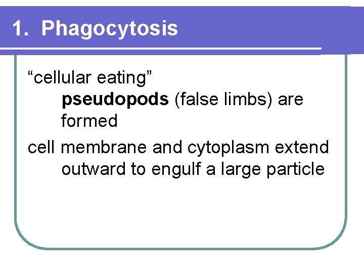 Cellular Transport Plasma Membrane l controls the movement