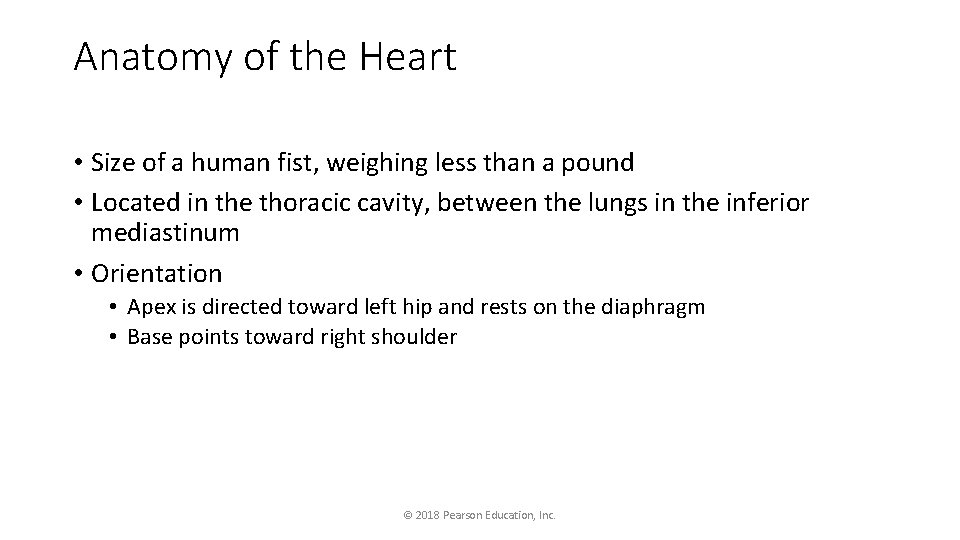 Chapter 11 The Cardiovascular System Lecture Presentation by
