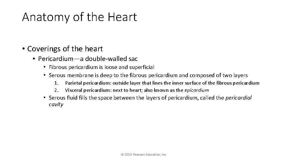 Chapter 11 The Cardiovascular System Lecture Presentation by