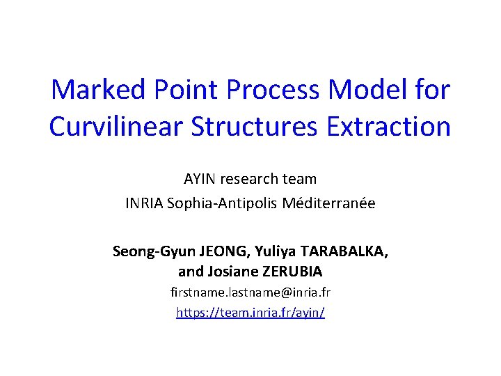 Marked Point Process Model for Curvilinear Structures Extraction