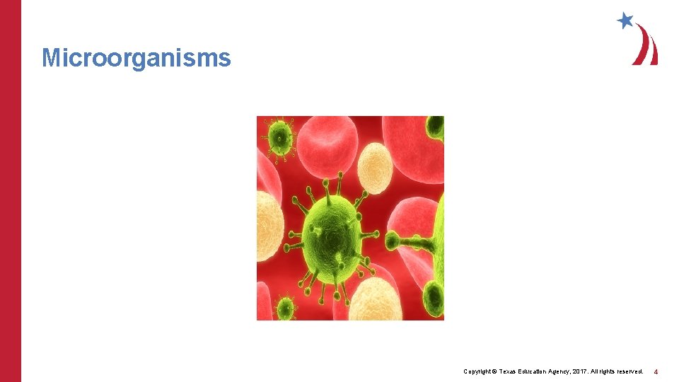 Food Safety Principles Microorganisms Everywhere Food science Copyright