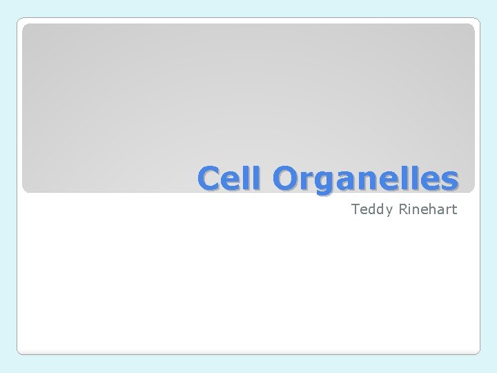 Cell Organelles Teddy Rinehart Plant Cell Animal Cell