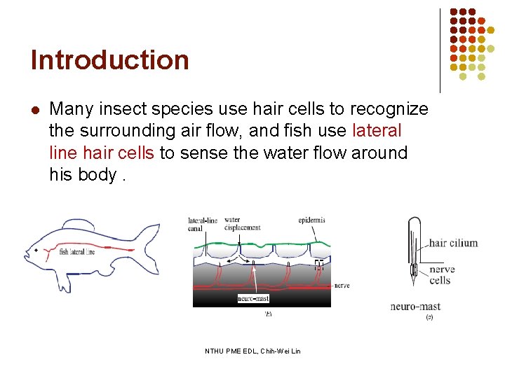 Biomimetic Micro Sensors Artificial Hair and Flow Sensors