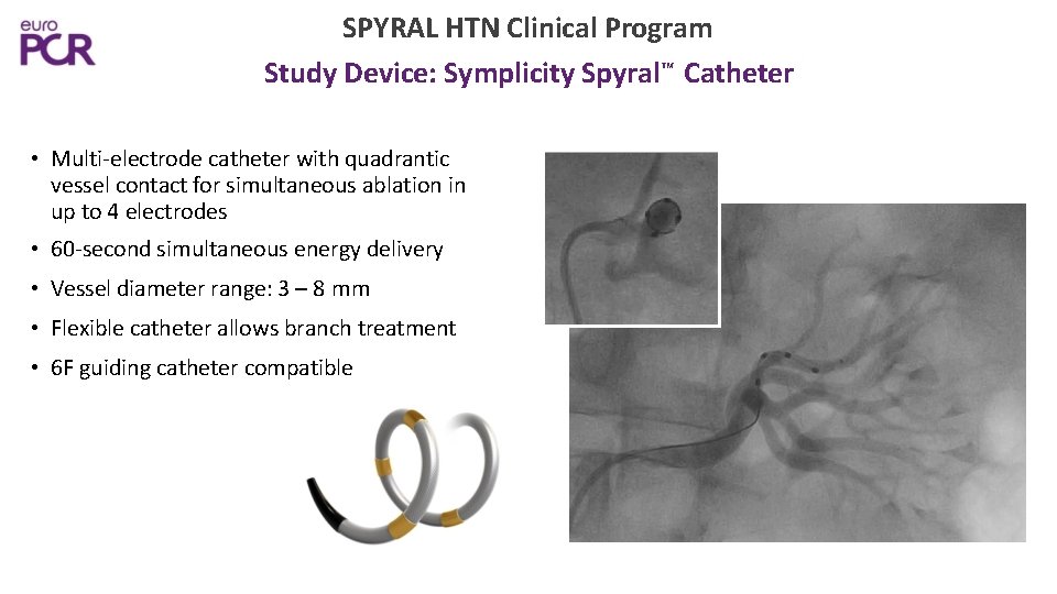 Renal Denervation in the Presence of Antihypertensive Medications