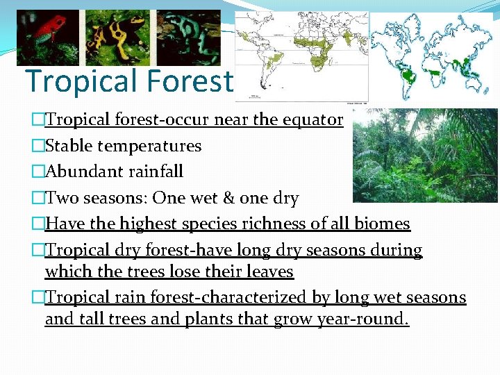 Biology 1 Chapter 21 Ecosystems Do Now Which