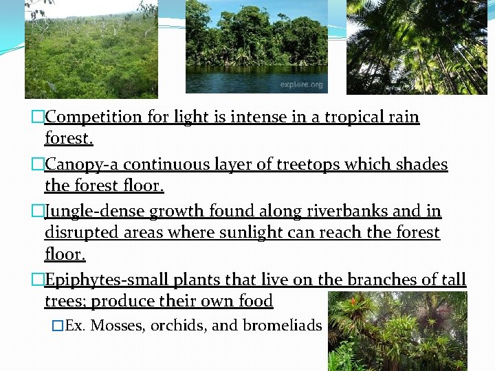 Biology 1 Chapter 21 Ecosystems Do Now Which