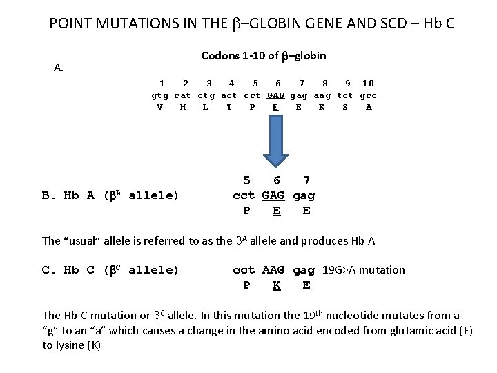 GLOBIN MUTATIONS AND SICKLE CELL DISORDER SCD RESTRICTION