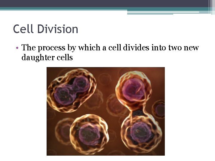Cell Cycle Mitosis and Meiosis Why do cells