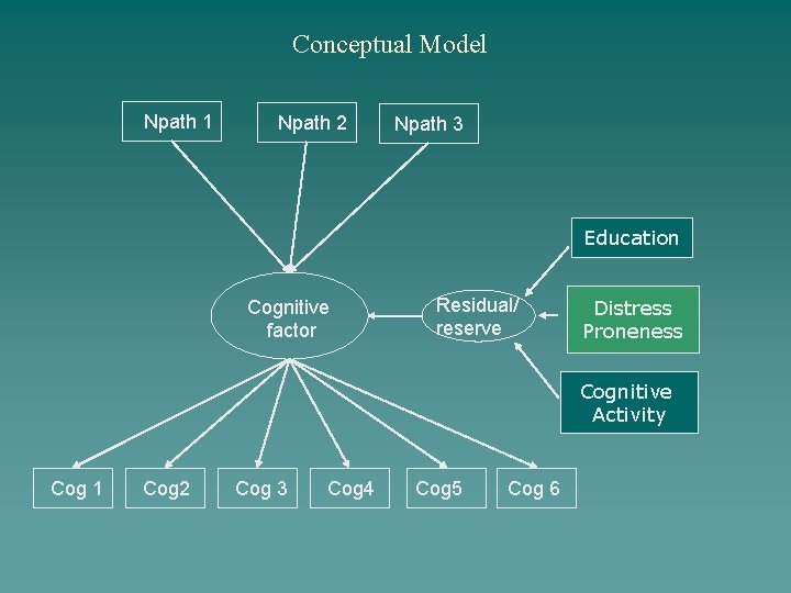 Do personality traits contribute to resiliency to brain