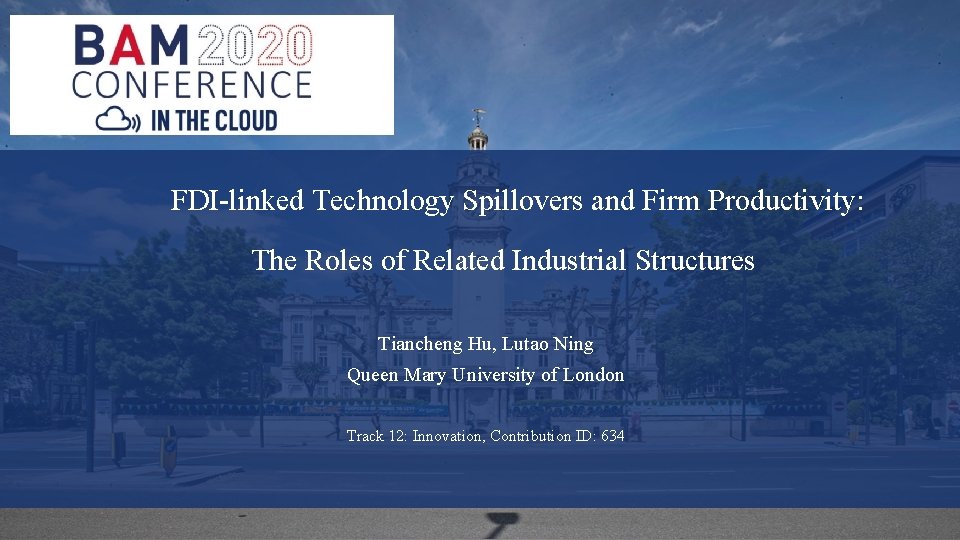FDIlinked Technology Spillovers and Firm Productivity The Roles