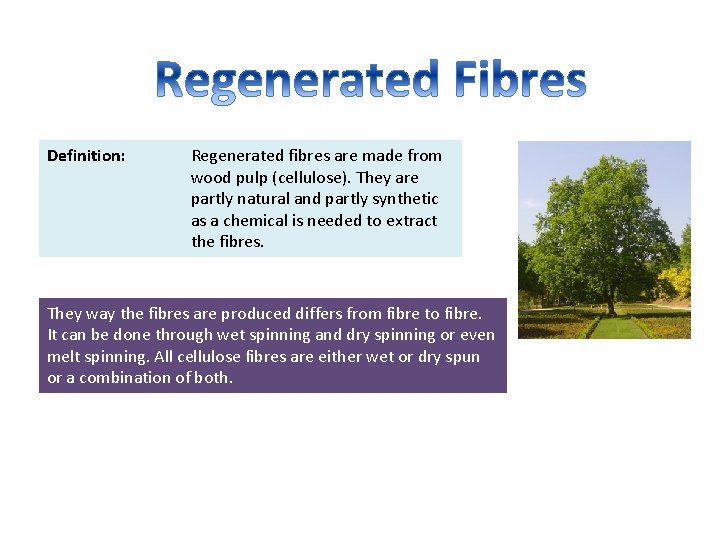 Definition Regenerated fibres are made from wood pulp