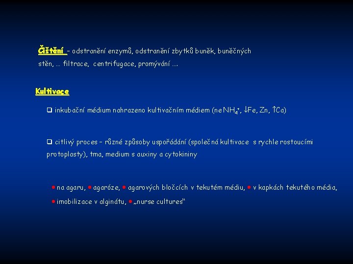 Solanum verrucosum Protoplasty 1971 1 normln rostlina z