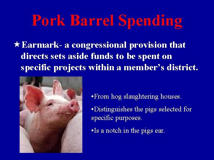 Congressional Earmarks Should We Bring Home the Bacon