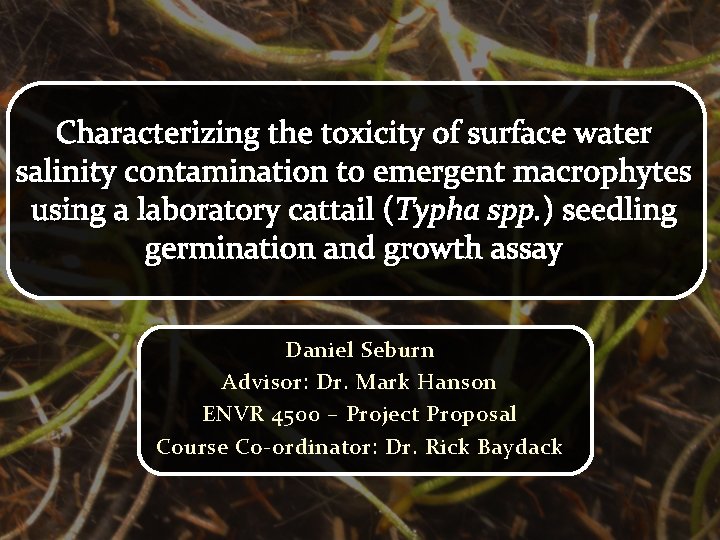 Characterizing the toxicity of surface water salinity contamination