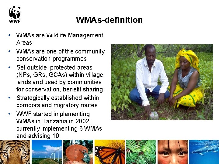 ESTABLISHING WILDLIFE MANAGEMENT AREAS Impacts of CBNRM on