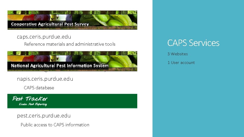 Webinar I CAPS Services Ecosystem Conference Call 888