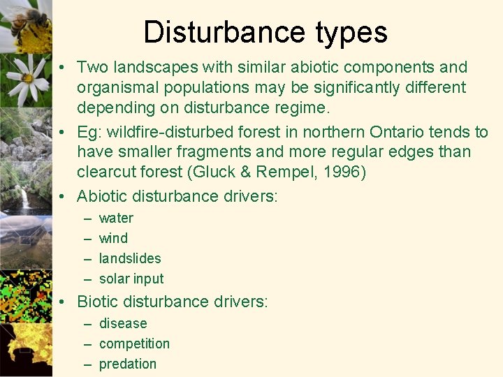 BCB 322 Landscape Ecology Lecture 4 Emerging processes