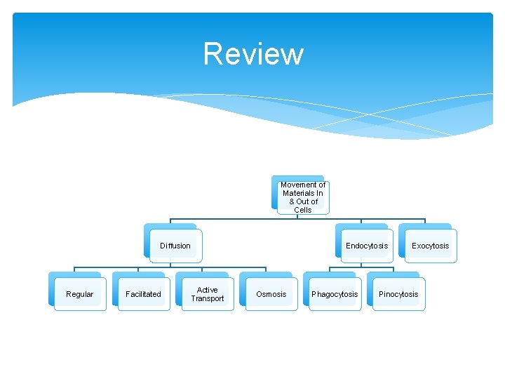 Movement of Materials In and Out of Cells