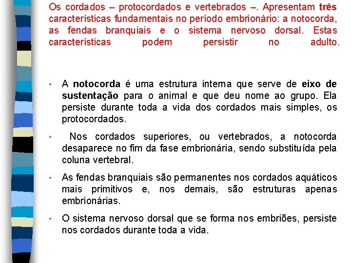Caractersticas Gerais dos Cordados Protocordados e Vertebrados Ocorrncia