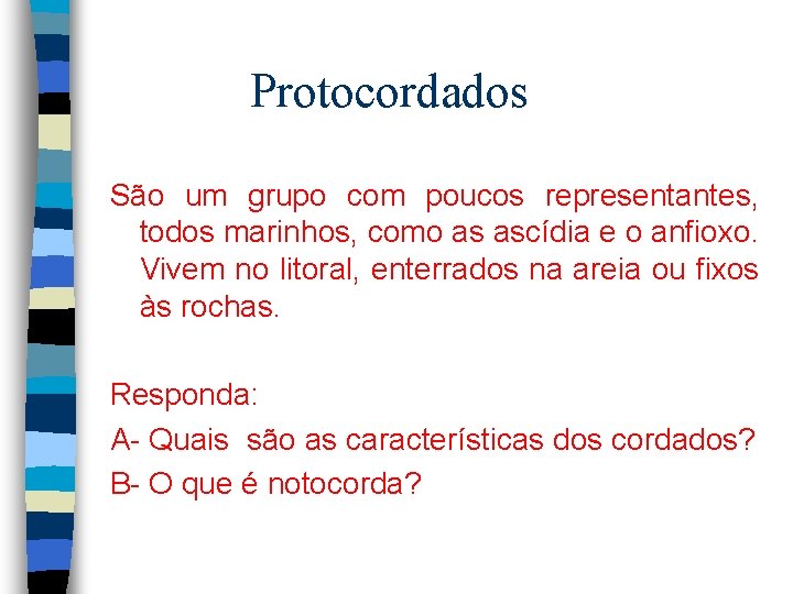 Caractersticas Gerais dos Cordados Protocordados e Vertebrados Ocorrncia
