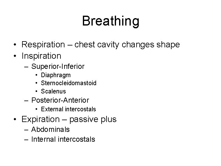 Thorax and Lungs Landmarks Anterior Ribs Intercostal space