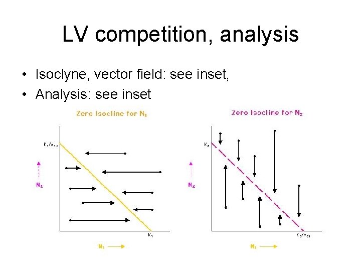 Evolution models competition Lectures III George Kampis ETSU