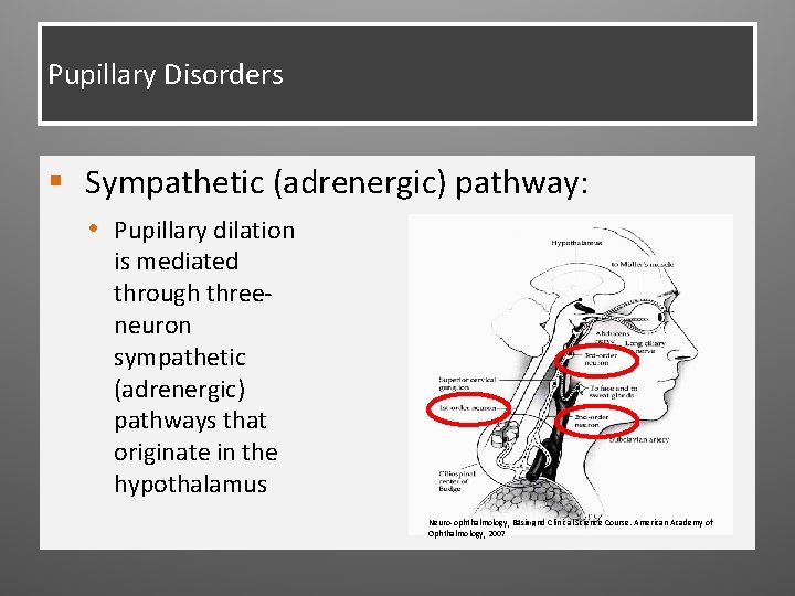 Neuroophthalmology review Daniah Alshowaeir MPH MD Neuroophthalmology ...