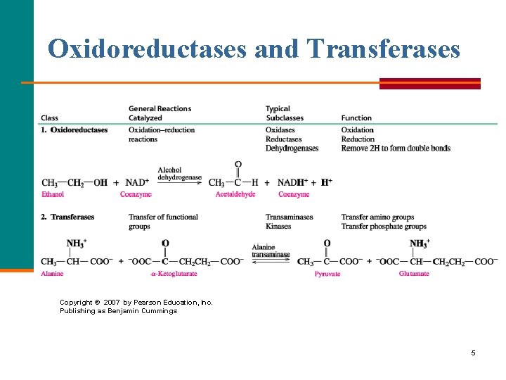 Chapter 20 Enzymes and Vitamins 20 1 Enzymes