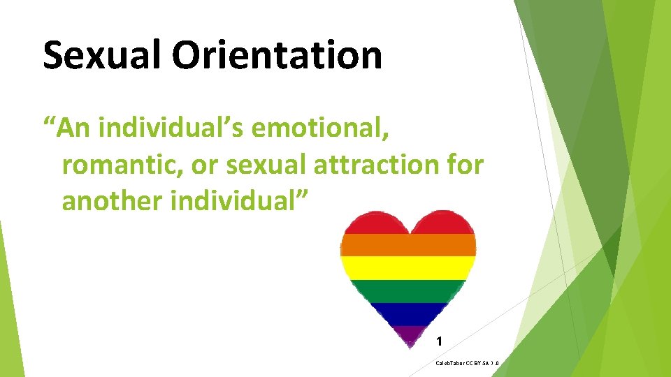 LGBT Healthcare 101 An overview of health disparities