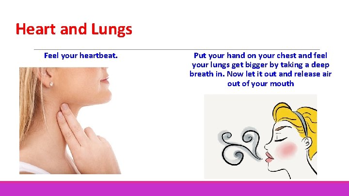 All About Me Body Systems Lets Learn About