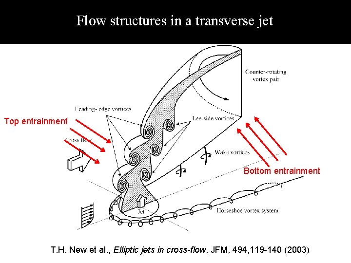 THERMAL TRANSPORT IN A CROSSFLOW JET SUBJECT TO