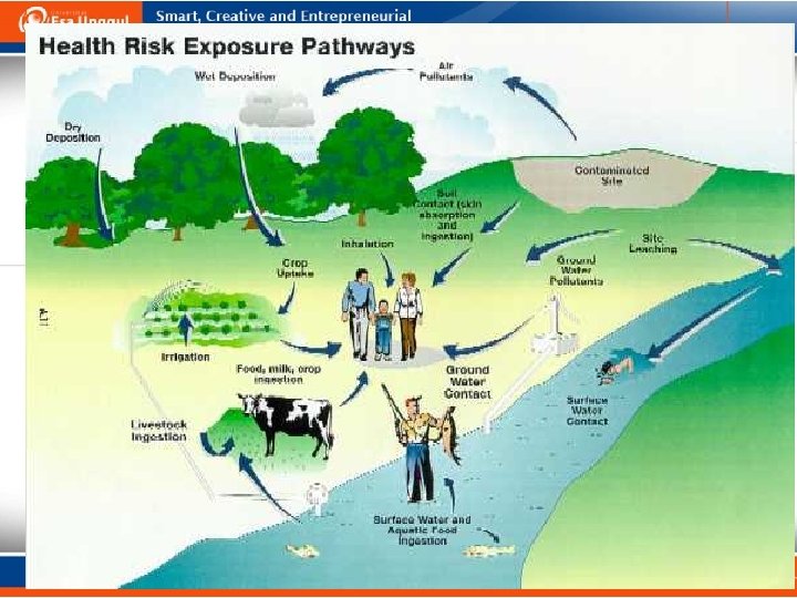BAHAYA BAHAN TOKSIK BAGI KESEHATAN LINGKUNGAN Pertemuan 14