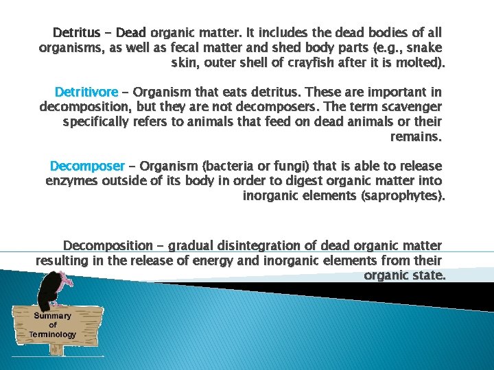 ECOSYSTEMS Learning objectives Terms and definitions Define the