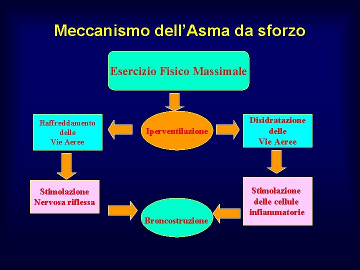 ASMA INDOTTO DALLESERCIZIO FISICO Ostruzione bronchiale transitoria che