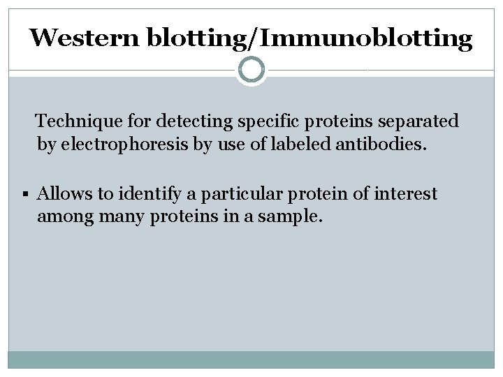 Western Blotting Western blottingImmunoblotting Technique for detecting ...