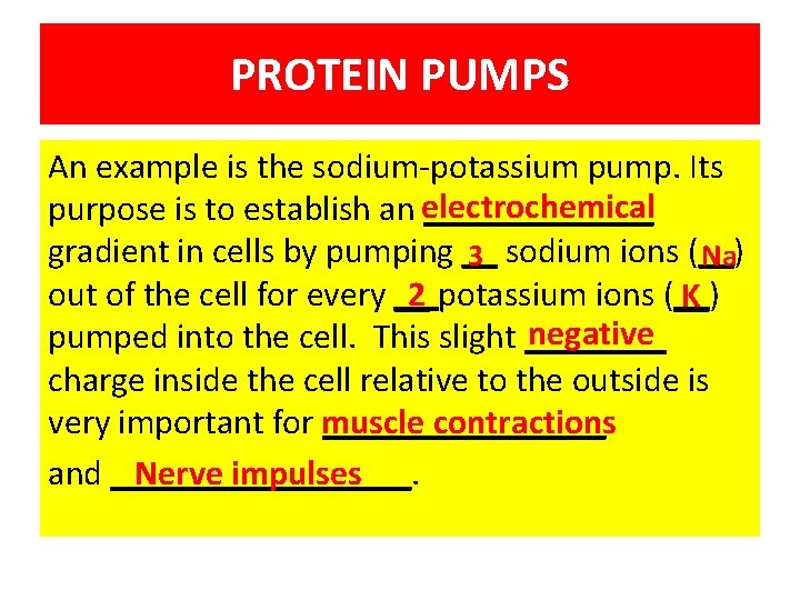 UNIT 3 CELL BOUNDARIES AND TRANSPORT Unit 3