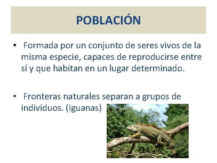 CRECIMIENTO DE POBLACIONES POBLACIN Formada por un conjunto