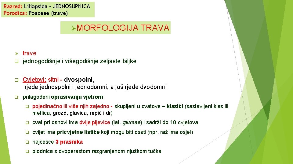 Kritosjemenjae Razred Liliopsida JEDNOSUPNICA NASTAVNA JEDINICA ...