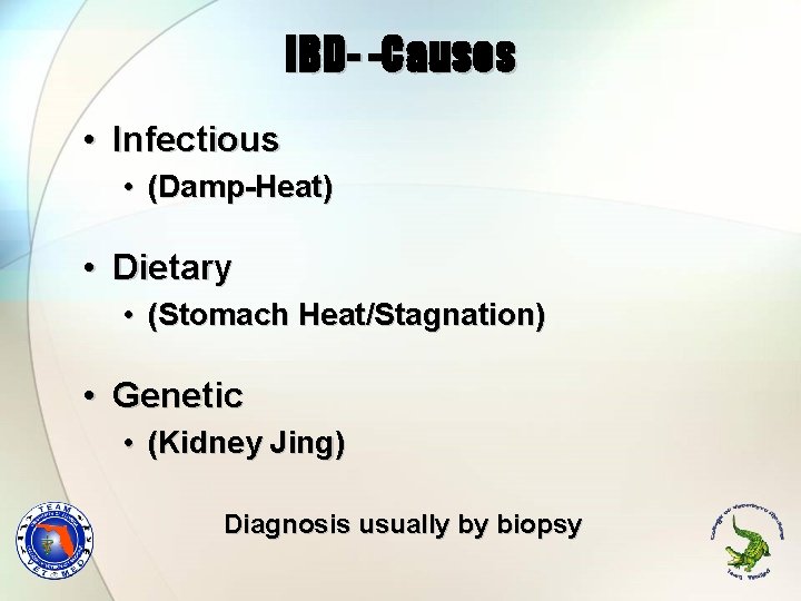 TCVM Approach to Inflammatory Bowel Disease IBD Group