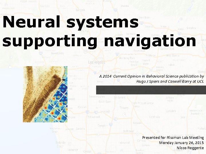 Neural systems supporting navigation A 2014 Current Opinion