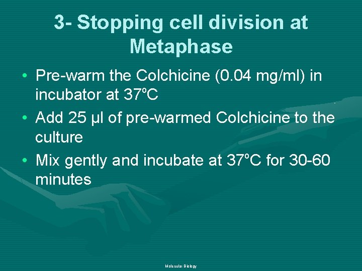 Human Metaphase Chromosomes Experiment Objectives Preparing staining and