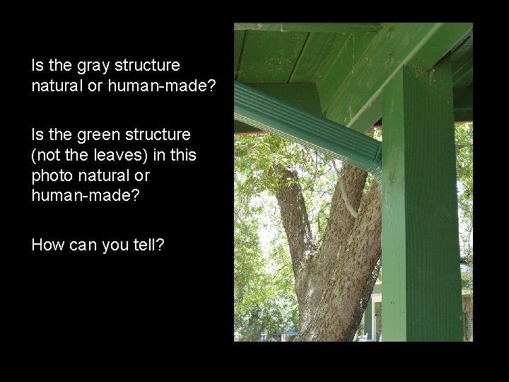 Green and Gray Structures By Mary Erickson Ph
