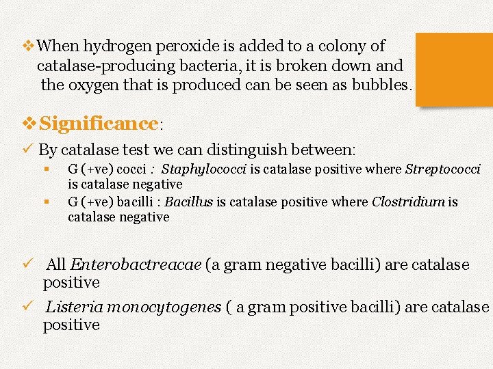 Enzymes v In the microbiology lab biochemical test