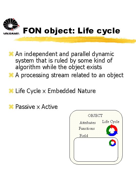 Fielded Object Network as a Framework for Computer
