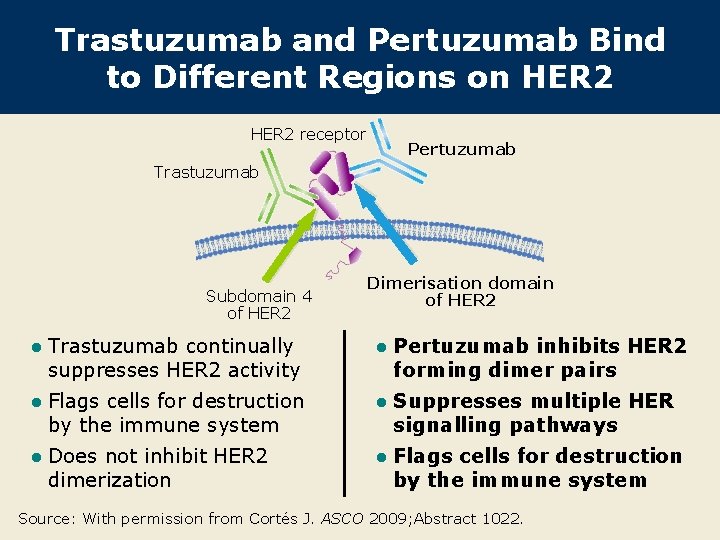 Pertuzumab Monotherapy Following TrastuzumabBased Treatment Activity ...