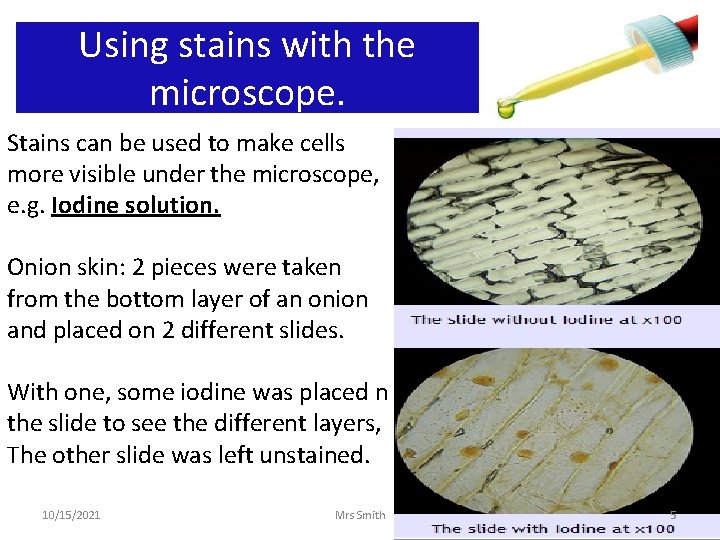 National 5 Biology Unit 1 Cell Biology Chapter