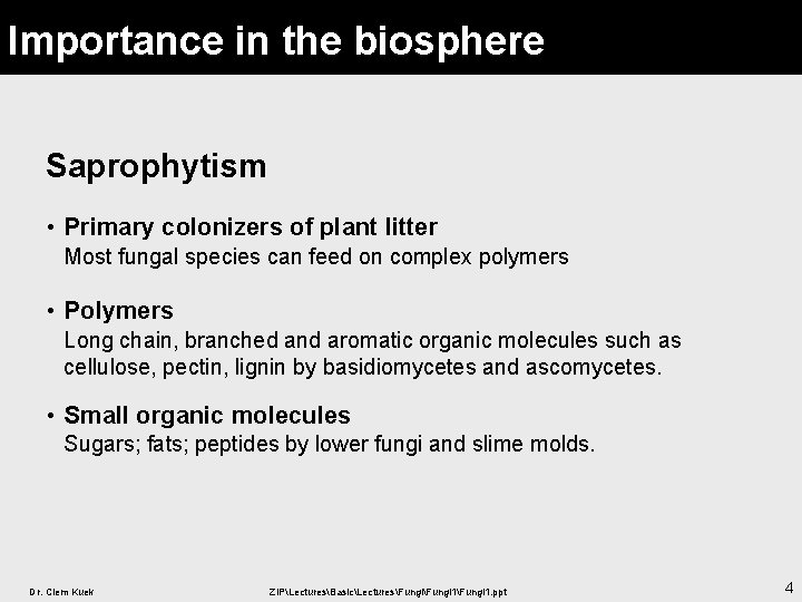 Fungi 1 Importance Structure Growth Dr Clem Kuek