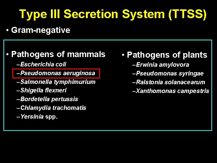 Molecular interactions between hosts and pathogens Partho Ghosh
